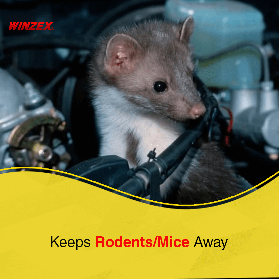 Winzex Rat Out (Rat Repellent) Spray 160ML (Pack Of 2)